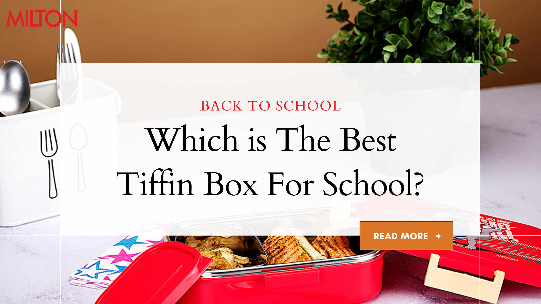 Best Tiffin Box for School: A Parent's Guide | Milton Blog