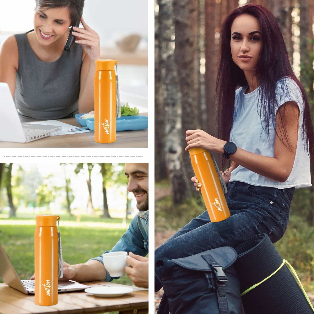 Buy Handy Stainless Steel Bottle 650ML, 850ML Online - Milton