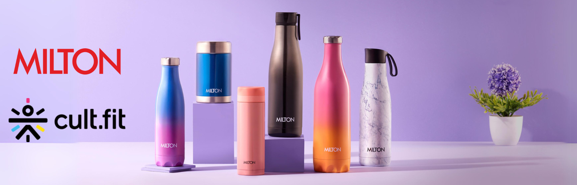 promotions – Milton