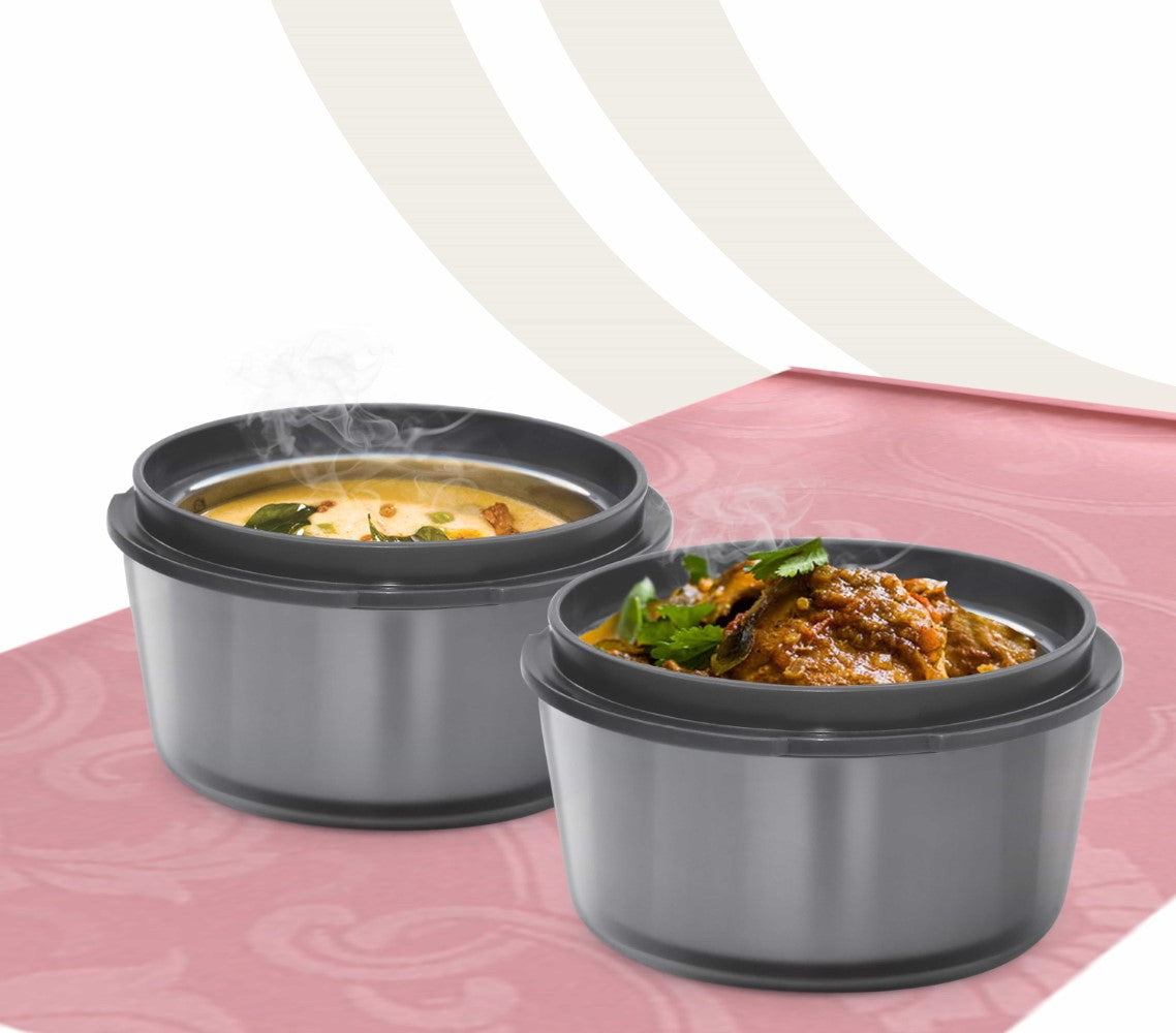 Buy Nutri Lunch, 2 Containers Tiffin box Online - Milton