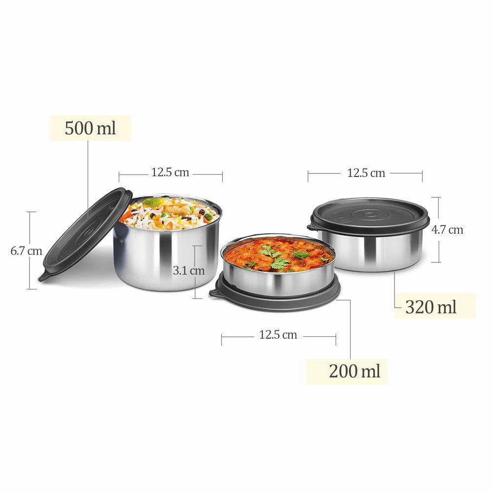Buy Tasty Lunch, Steel Softline Tiffin Box Online - Milton